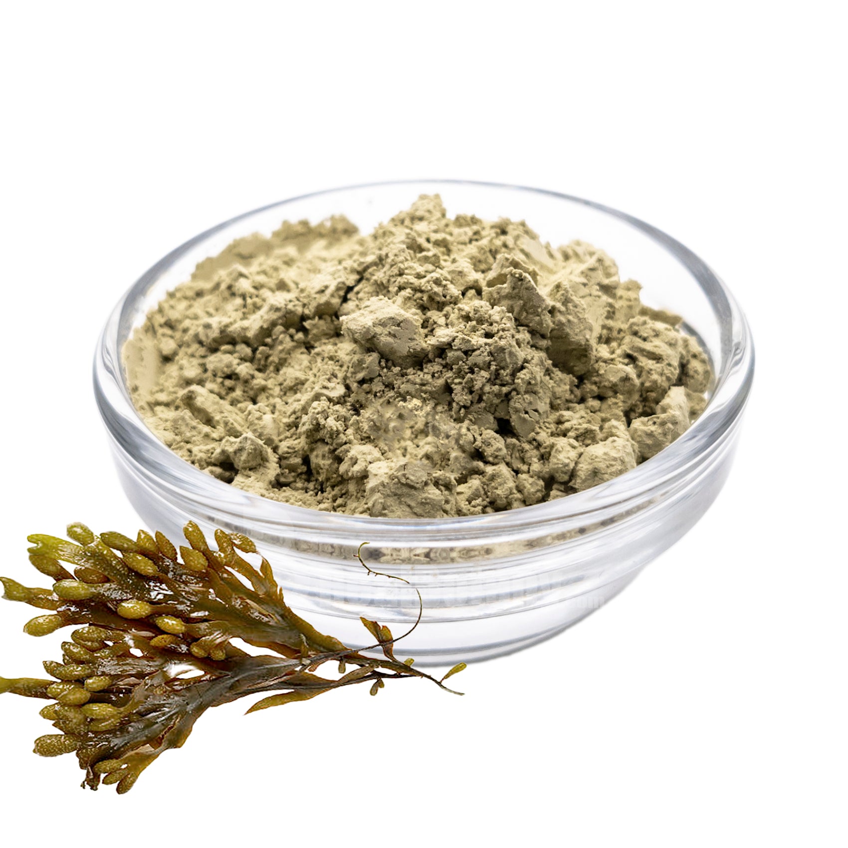 天然有機純海藻粉 食品級 面膜原料 Kelp Powder USDA Organic - REAL BOTANY