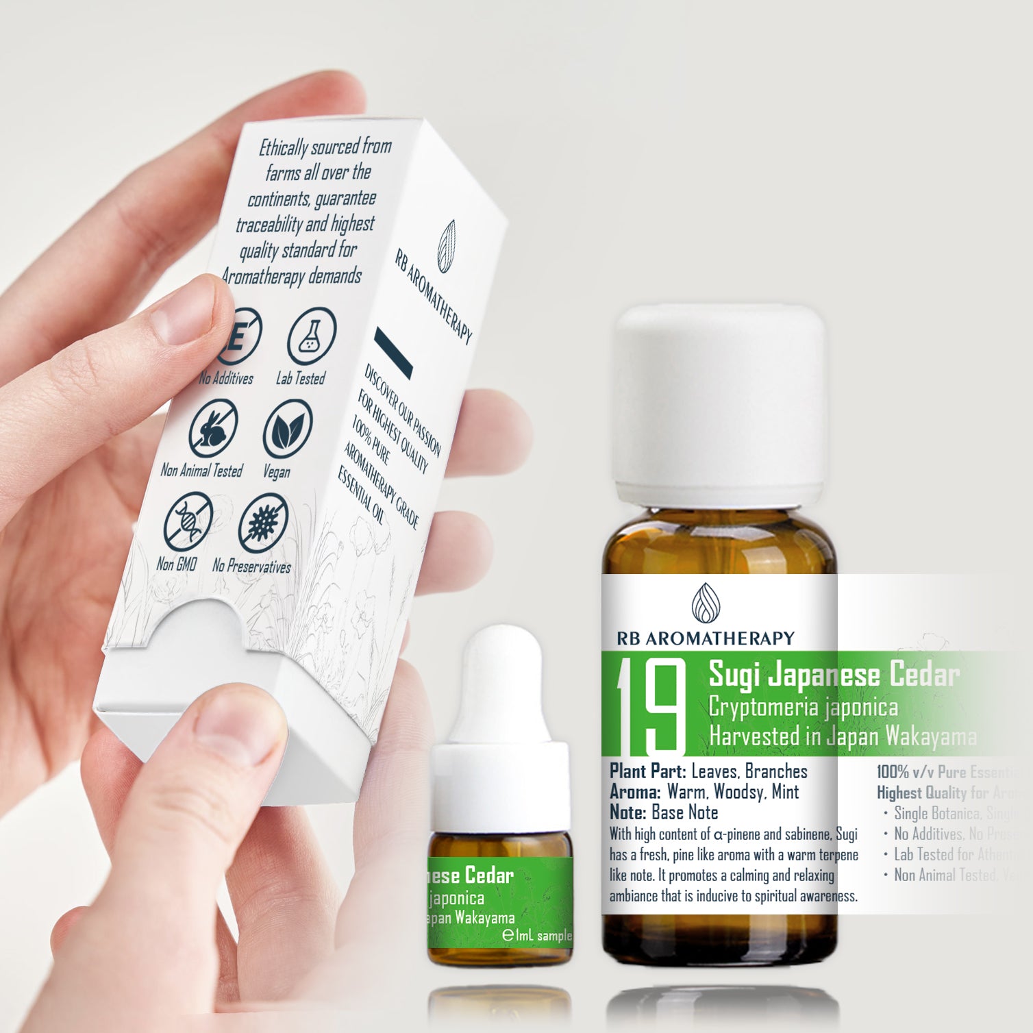 日本和歌山柳杉精油 Sugi Japanese Cedar - REAL BOTANY
